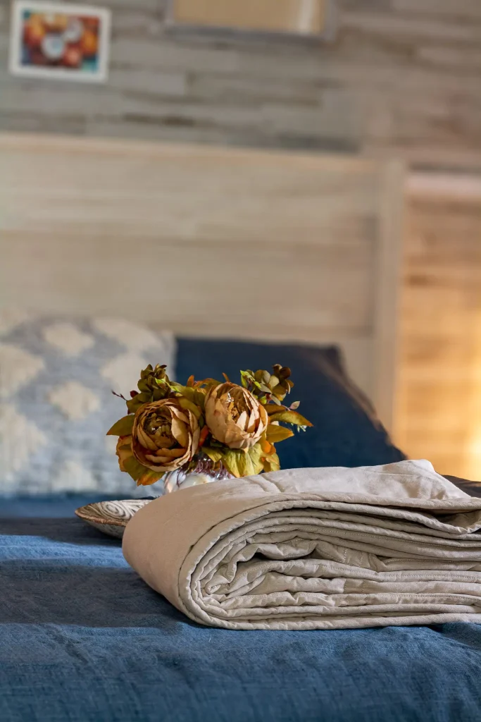 What Is Throw Blankets? An Insight Into Cozy Comfort | Elfin View